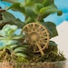 3D Ferris Wheel, Miniature Brass DIY Model Kit - Etsy