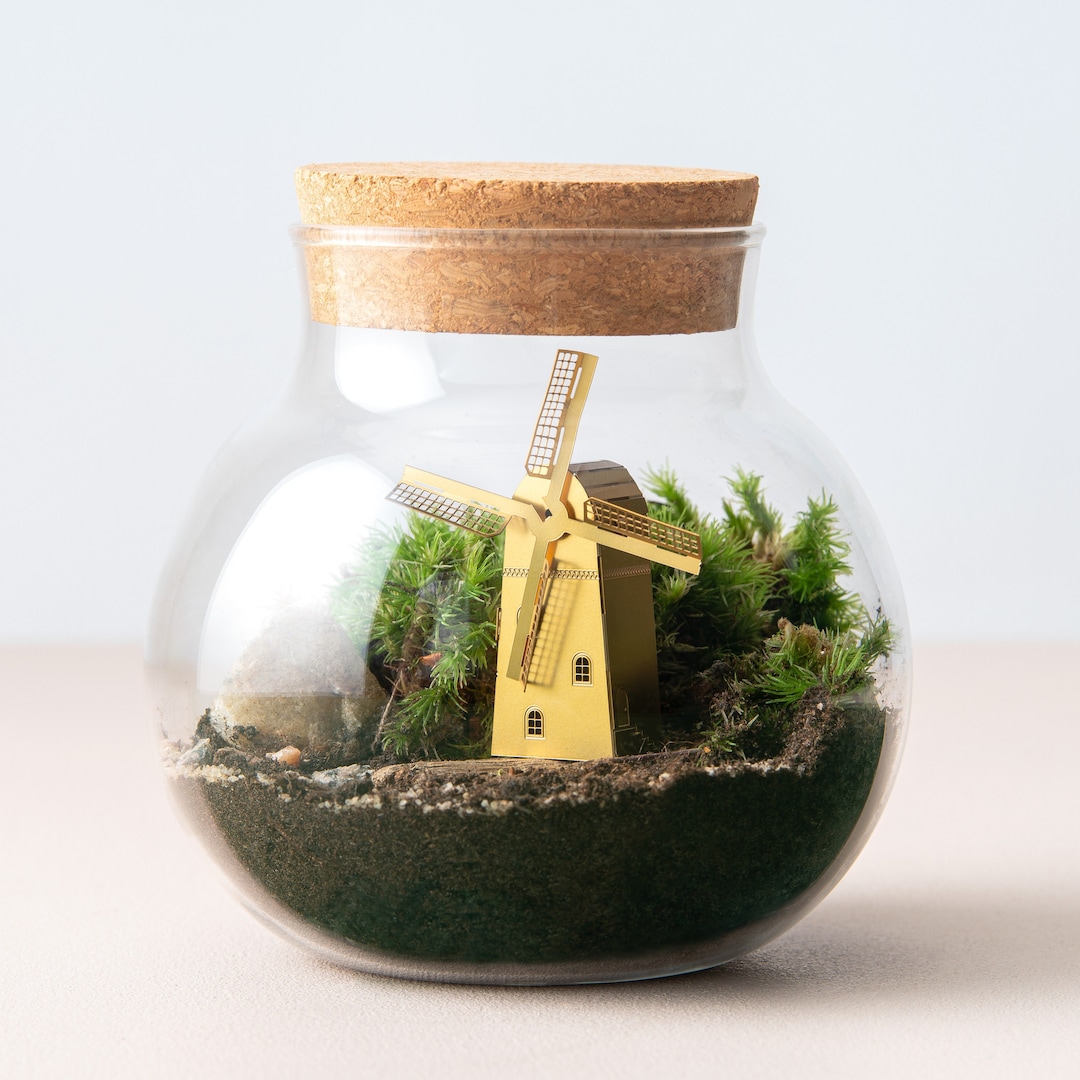 Terrarium Decorations, DIY Mini Accessories for Your Succulent ...