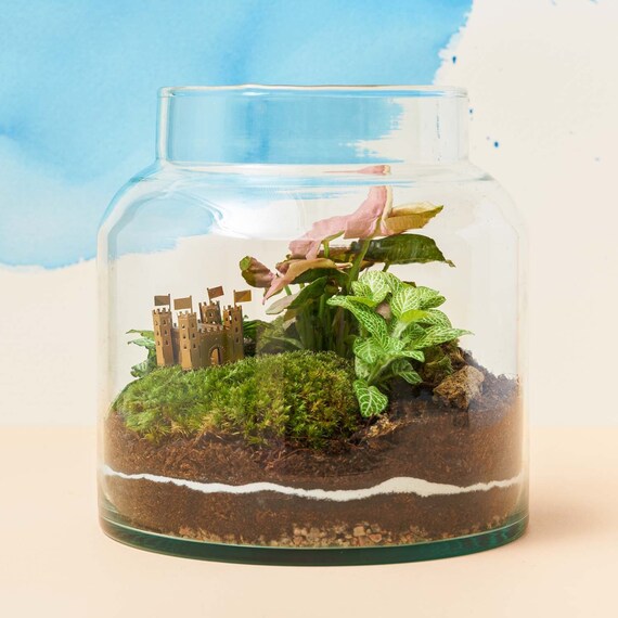 Terrarium Decorations DIY Mini Accessories for Your - Etsy