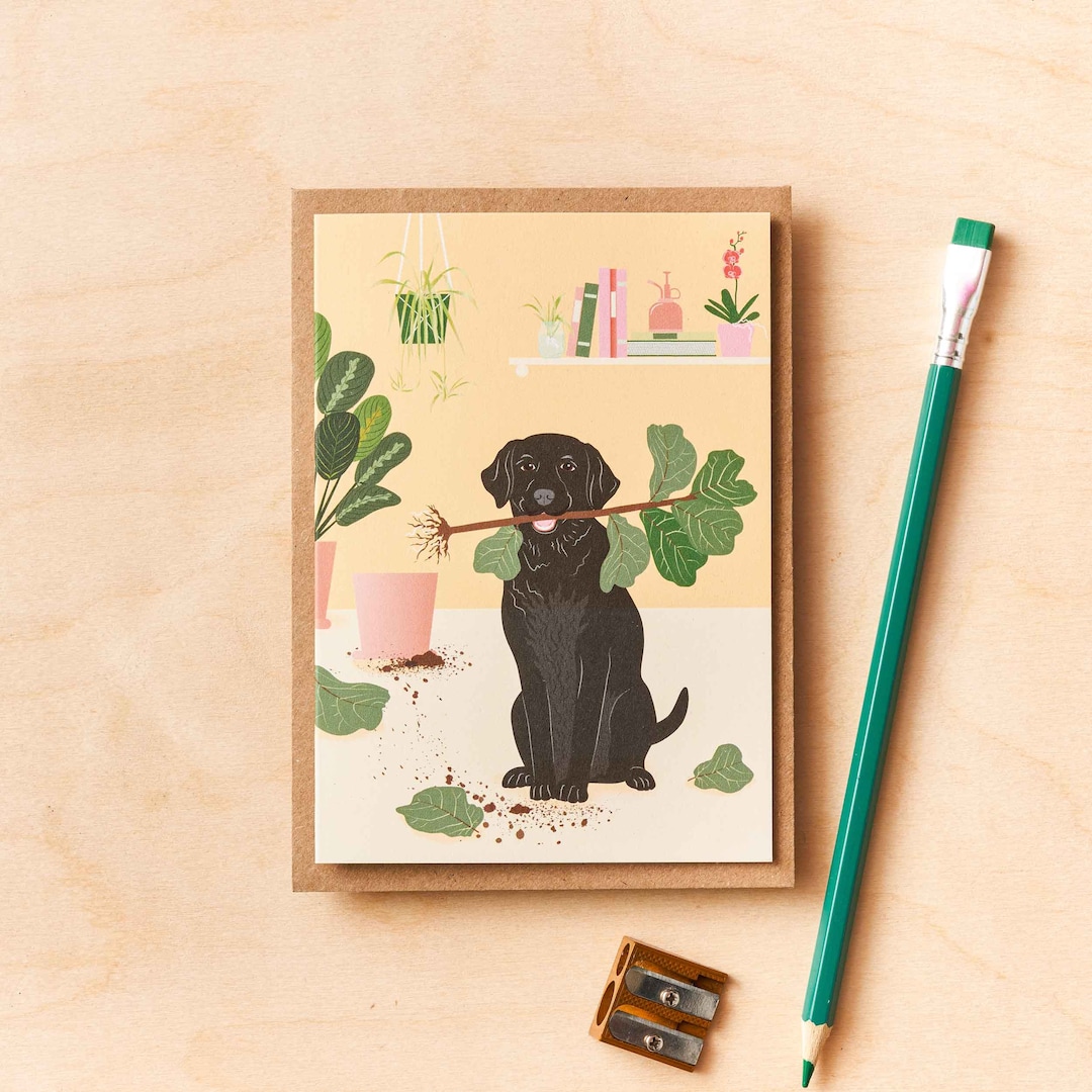 Labrador Greetings Card, Houseplants & Pets Lovers - Etsy
