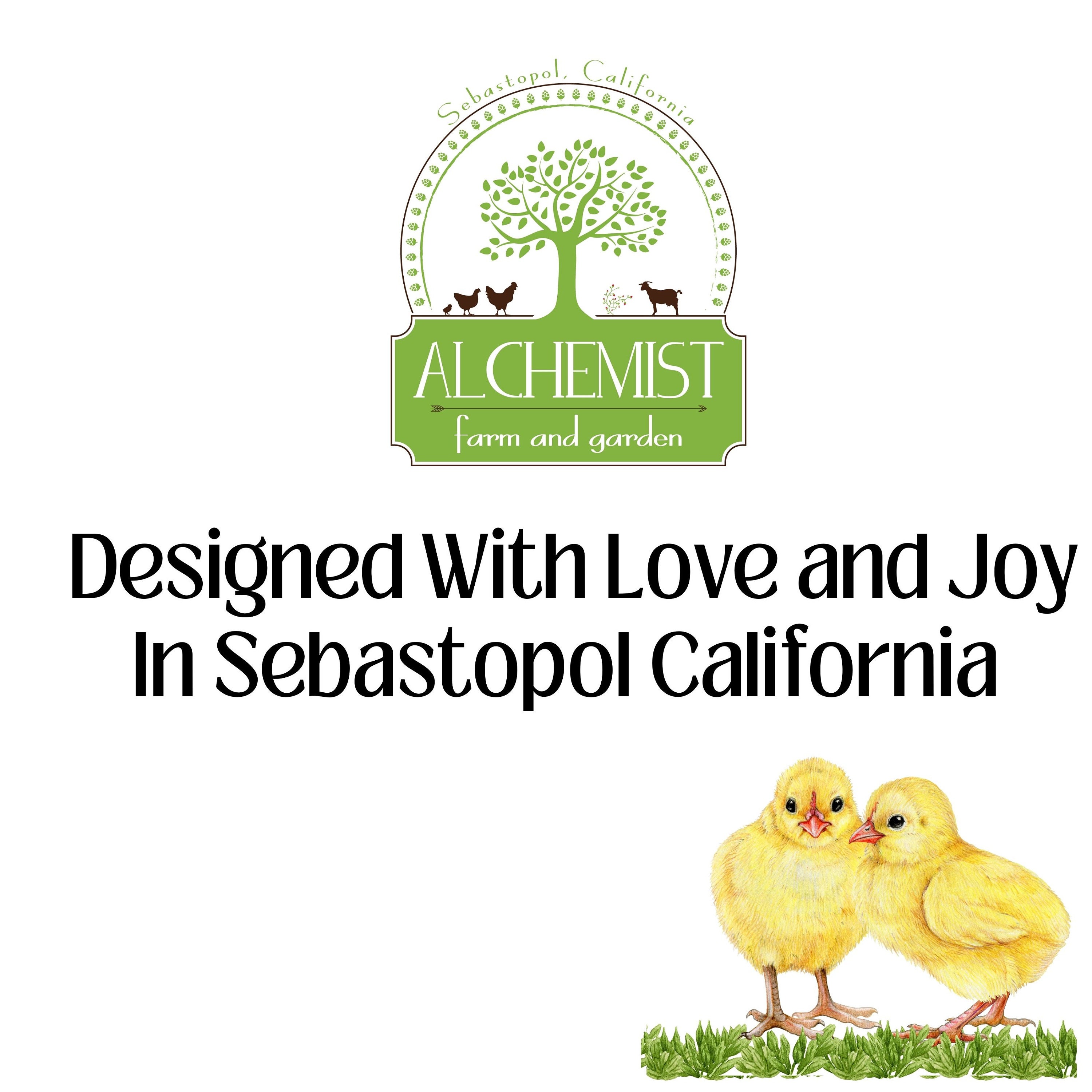 Too Cool Chicken With Sunglasses Spiral Notebook, Alchemist Farm, Fun ...