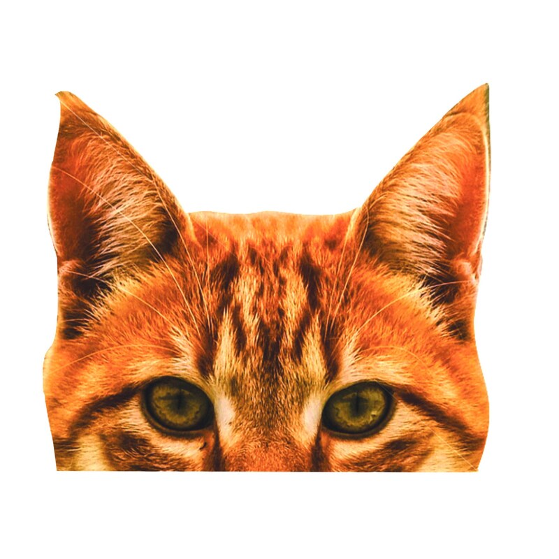 Cat Car Decal - Etsy
