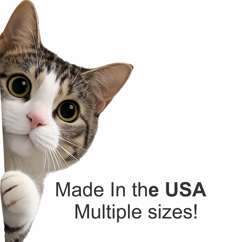 Car Decals Kittens - Etsy