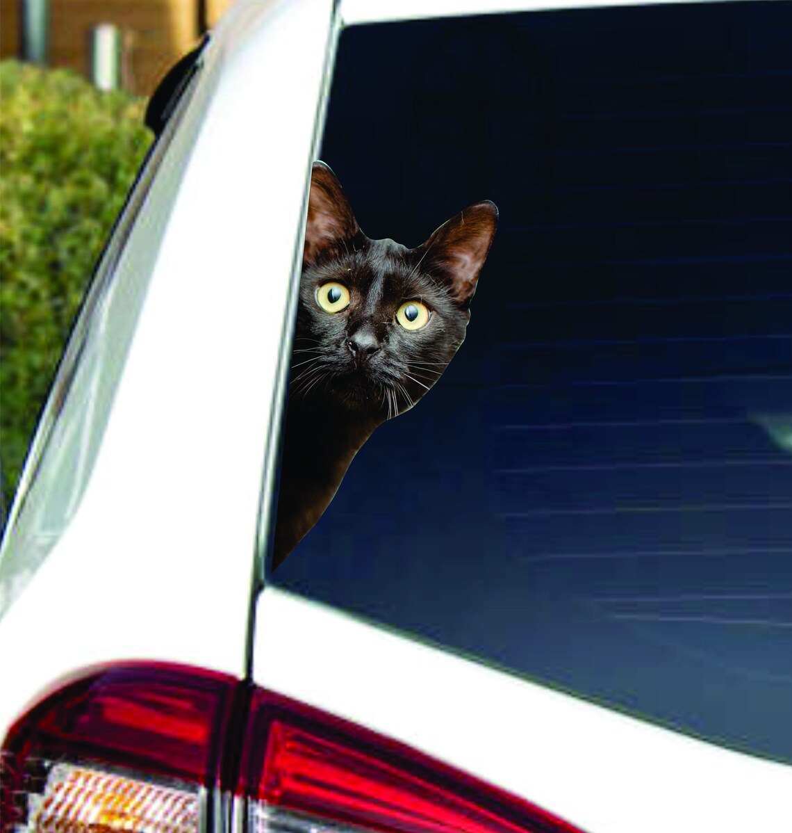 Black Cat Sticker Black Cat Black Cat Decal Cat Sticker - Etsy