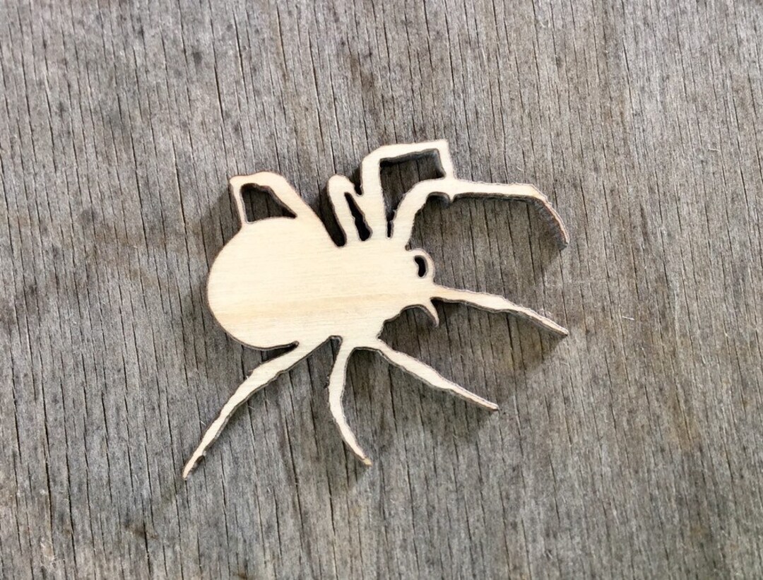 Spider -multiple Sizes- Cutouts Wood Craft Supply-sanded - Etsy