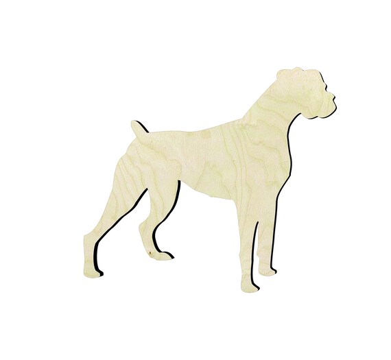 Why Do They Cut Boxer Tails