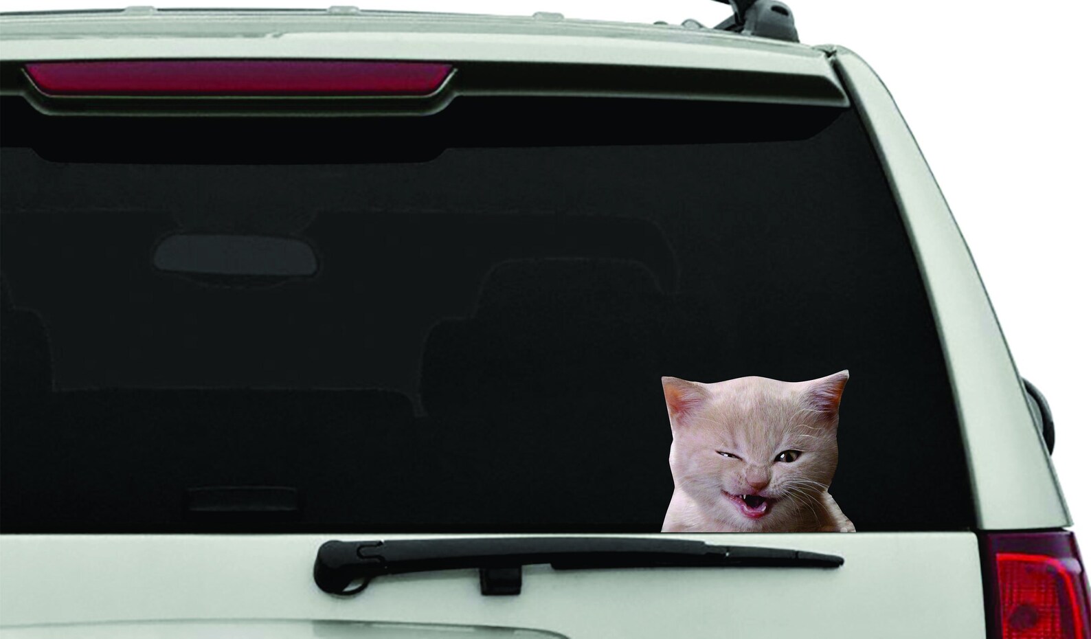 Kitten Car Decal multiple Sizes Orange Tabby Cat Cat - Etsy