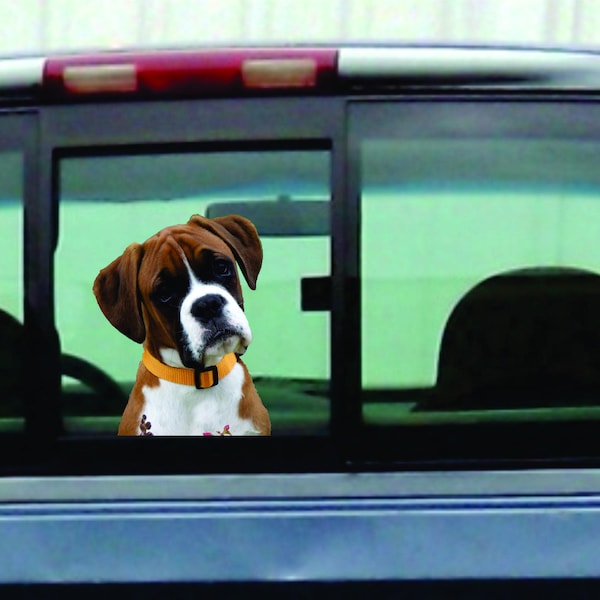 Boxer Sticker - Etsy