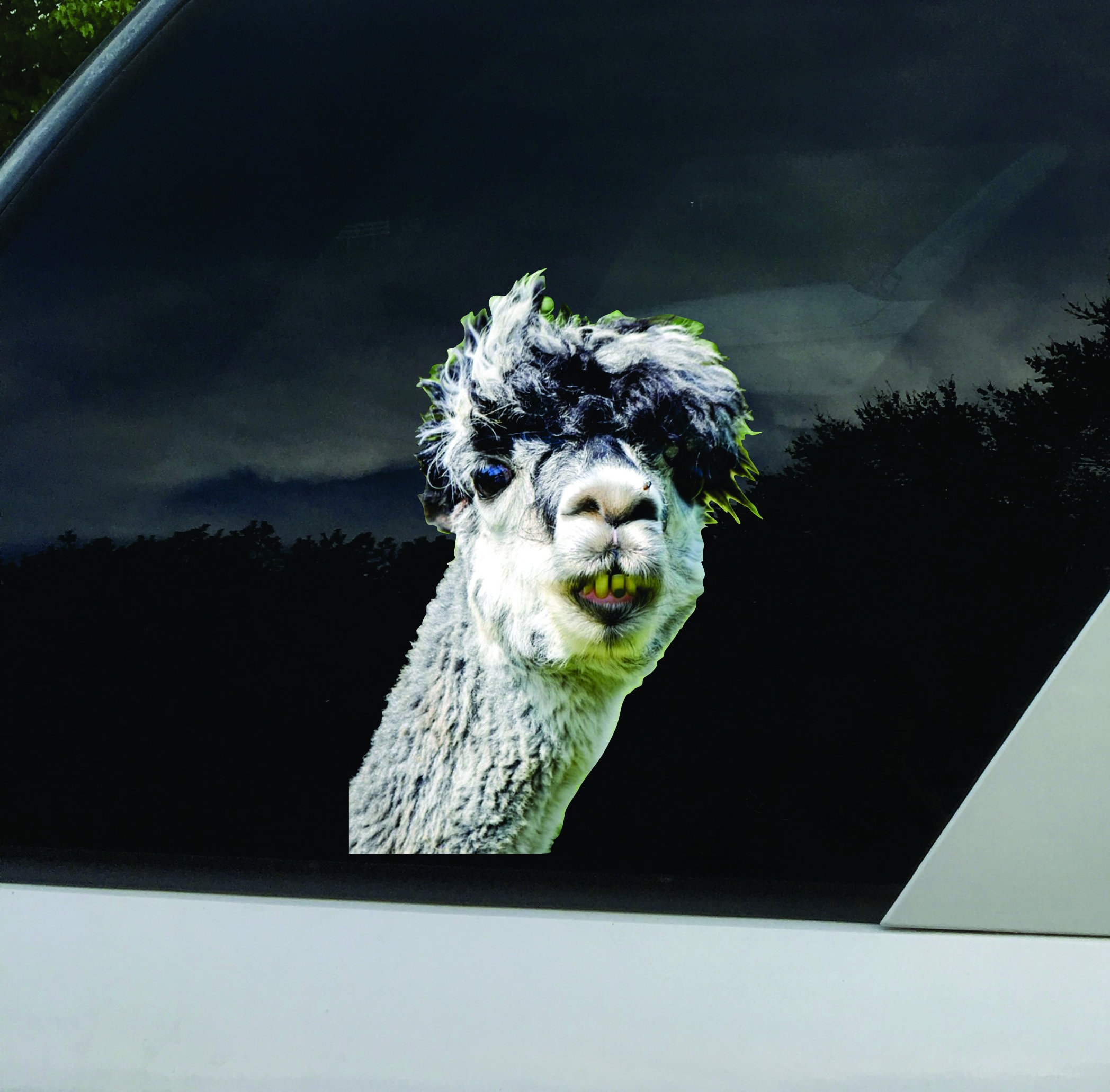 Alpaca Sticker Alpaca Decal Llama Decal Llama Decal Alpaca - Etsy