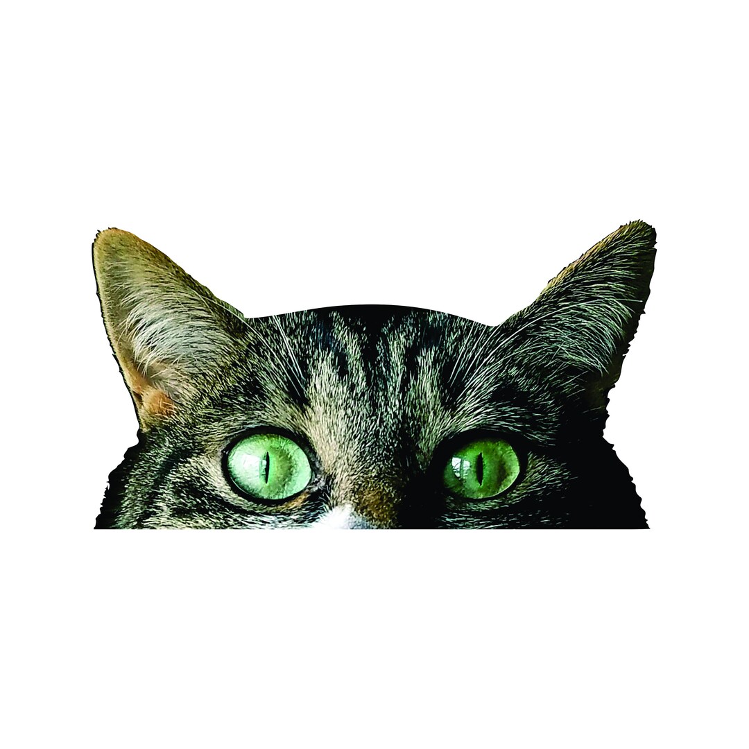 Cat Eyes Car Decal -multiple Sizes-cat Eyes,tabby Cat, Cat Sticker, Cat ...