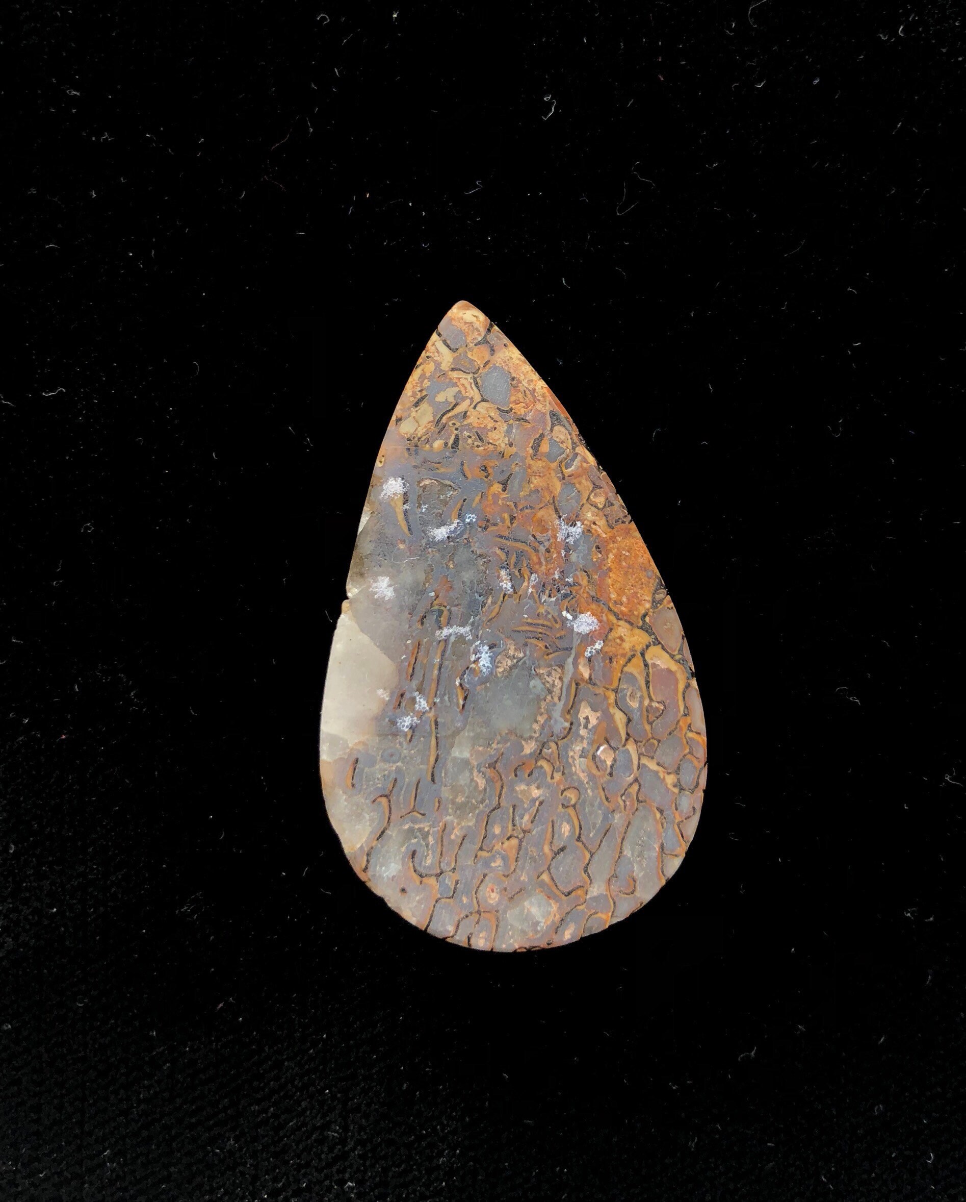 Dinosaur Bone Cab Natural High Grade 45 Carats - Etsy