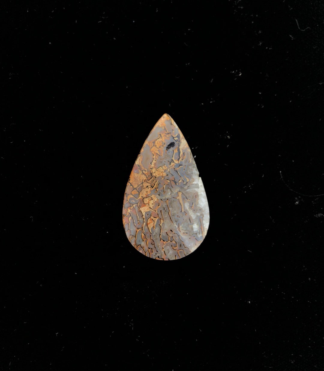 Dinosaur Bone Cab Natural High Grade 45 Carats - Etsy