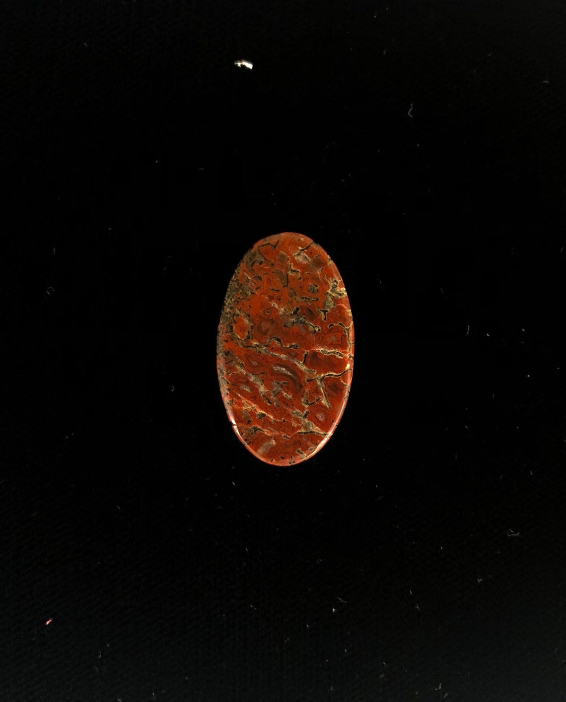 Dinosaur Bone Cab Natural High Grade 21 Carats - Etsy