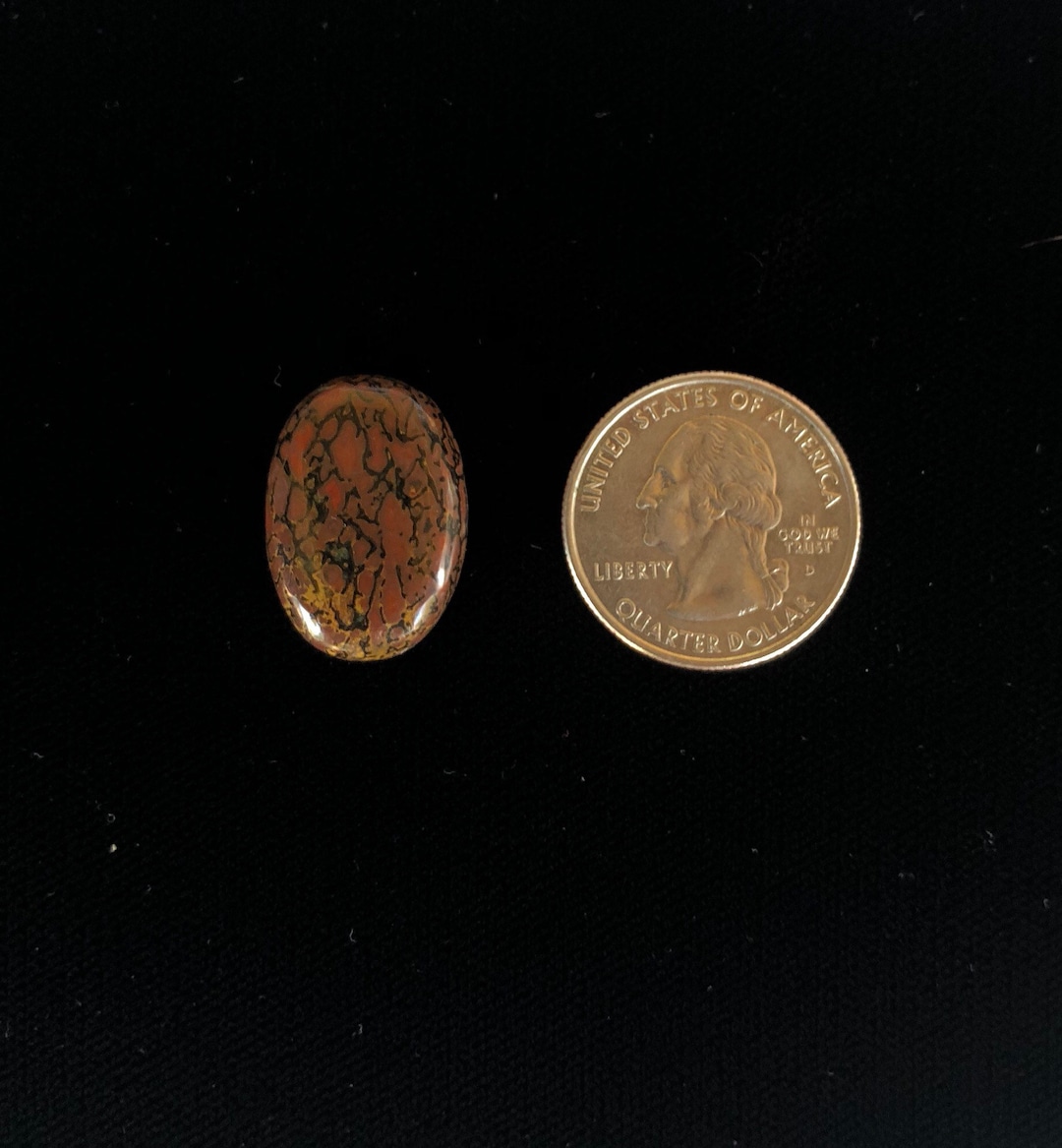 Dinosaur Bone Cab Natural High Grade 18.5 Carats - Etsy