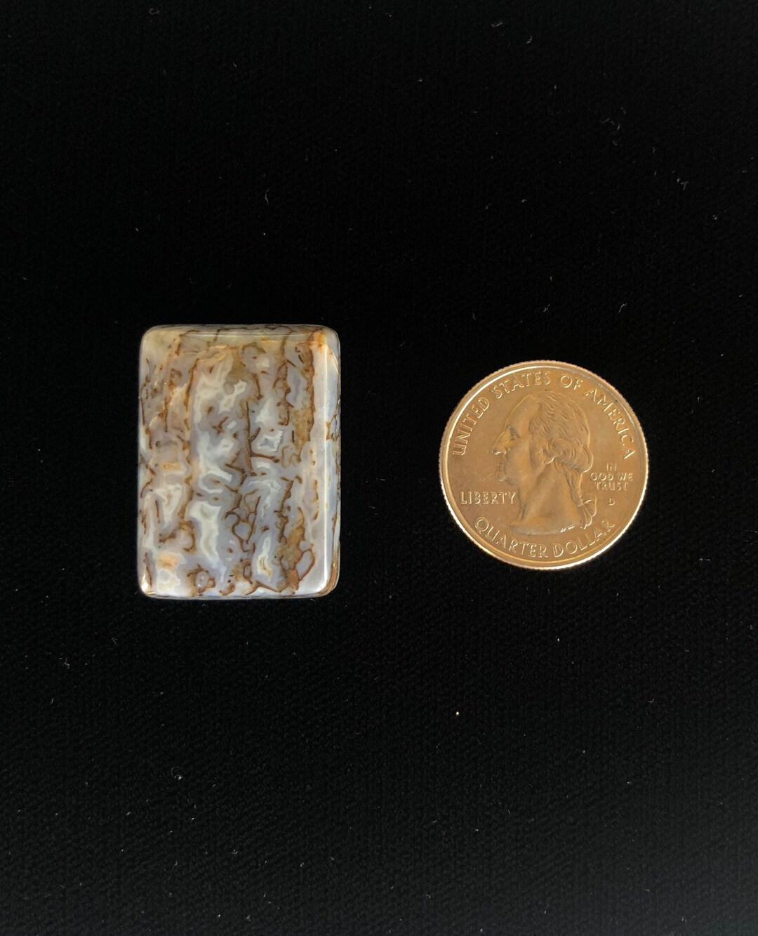 Dinosaur Bone Cab Natural High Grade 52.5 Carats - Etsy