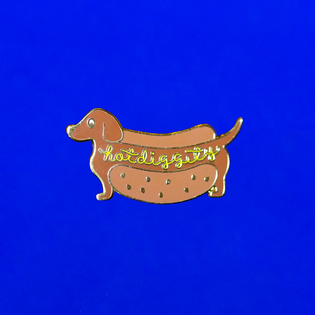 Hot Diggity Dog Pin - Etsy