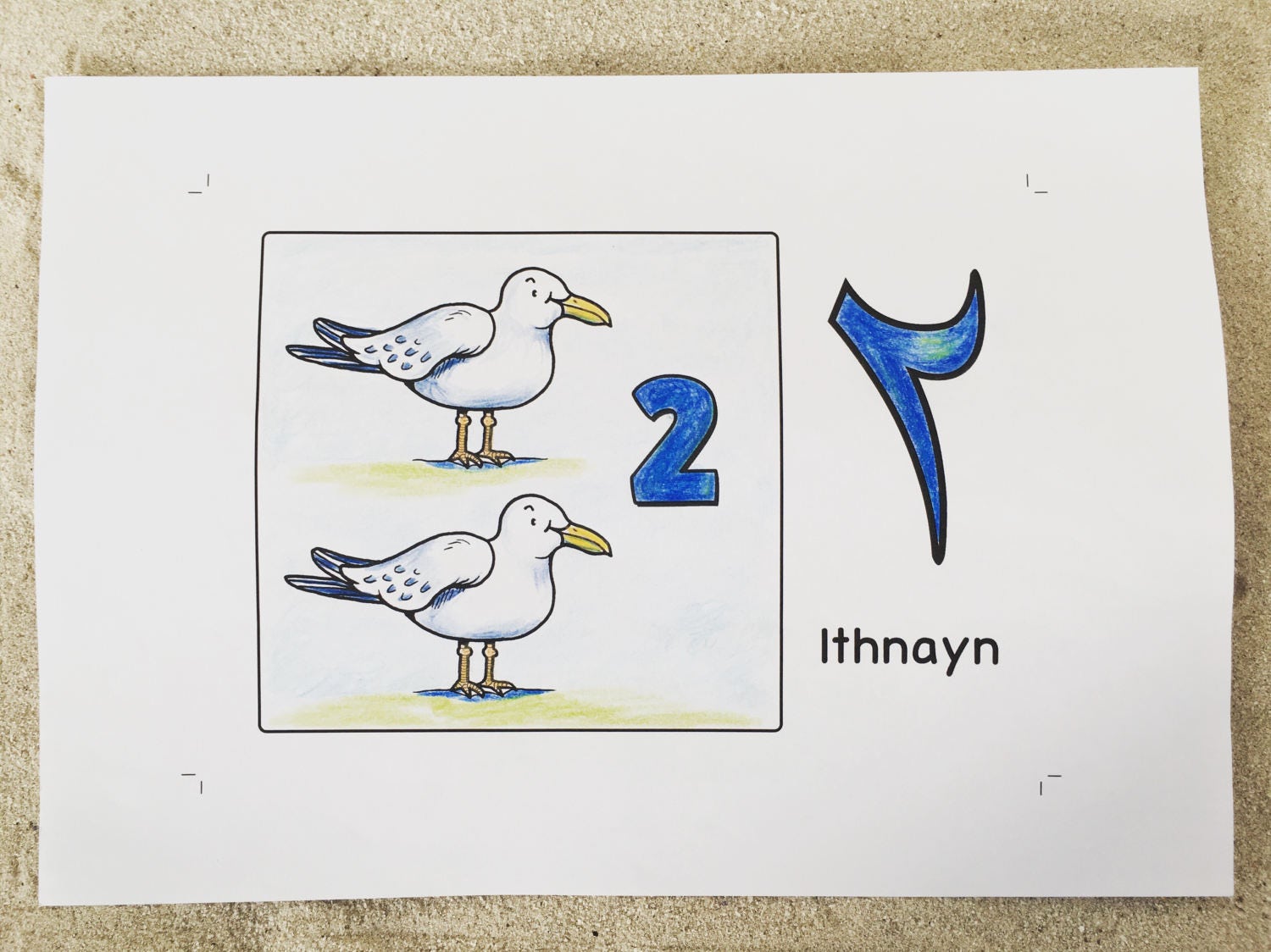 Arabic Numbers Coloring Book for Kids (arabic Learning Arabic Coloring ...