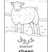 Arabic Farm Animals Coloring Book arabic Learning Arabic - Etsy Canada