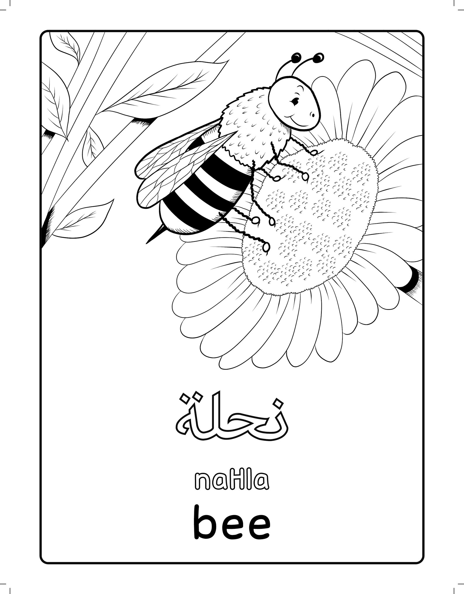 Arabic Farm Animals Coloring Book arabic Learning Arabic Coloring ...