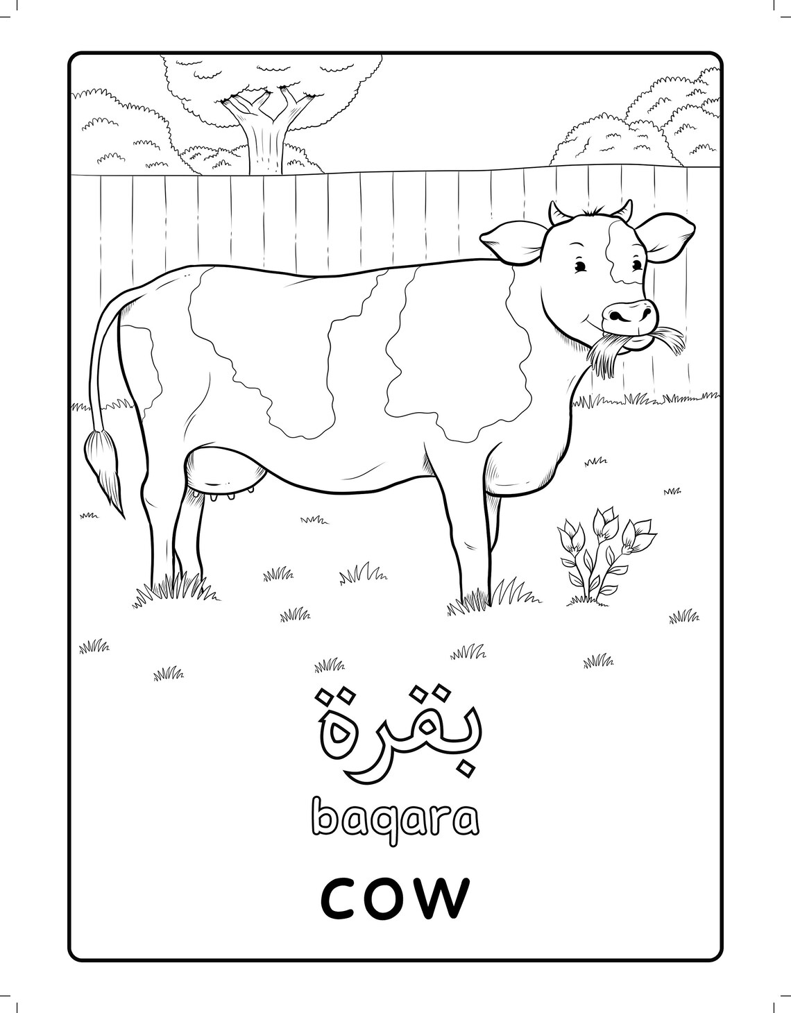 Arabic Farm Animals Coloring Book arabic Learning Arabic - Etsy Canada