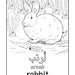 Arabic Farm Animals Coloring Book arabic Learning Arabic - Etsy Canada