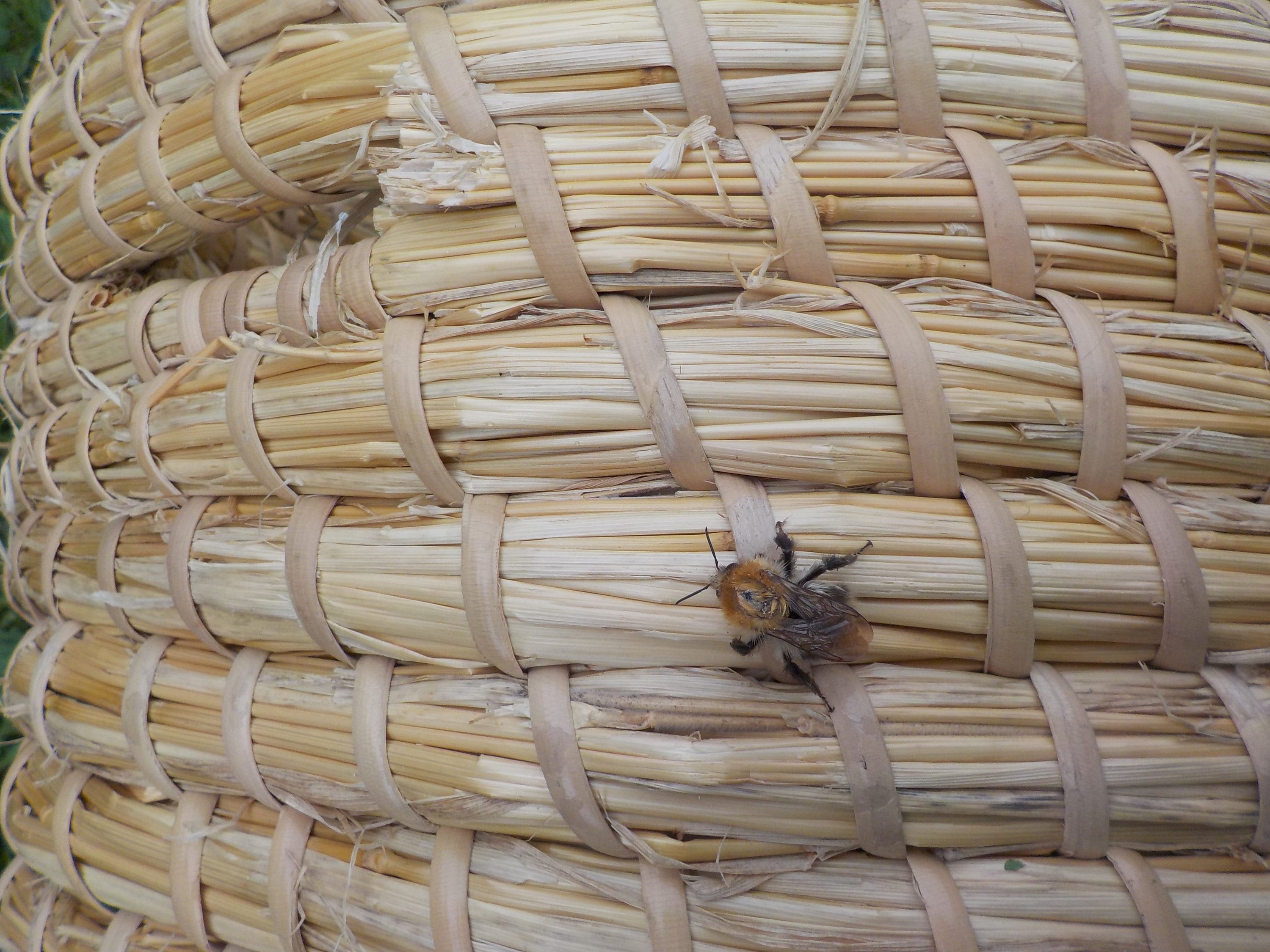 Skep Beehive Traditional Medieval style materials natural | Etsy