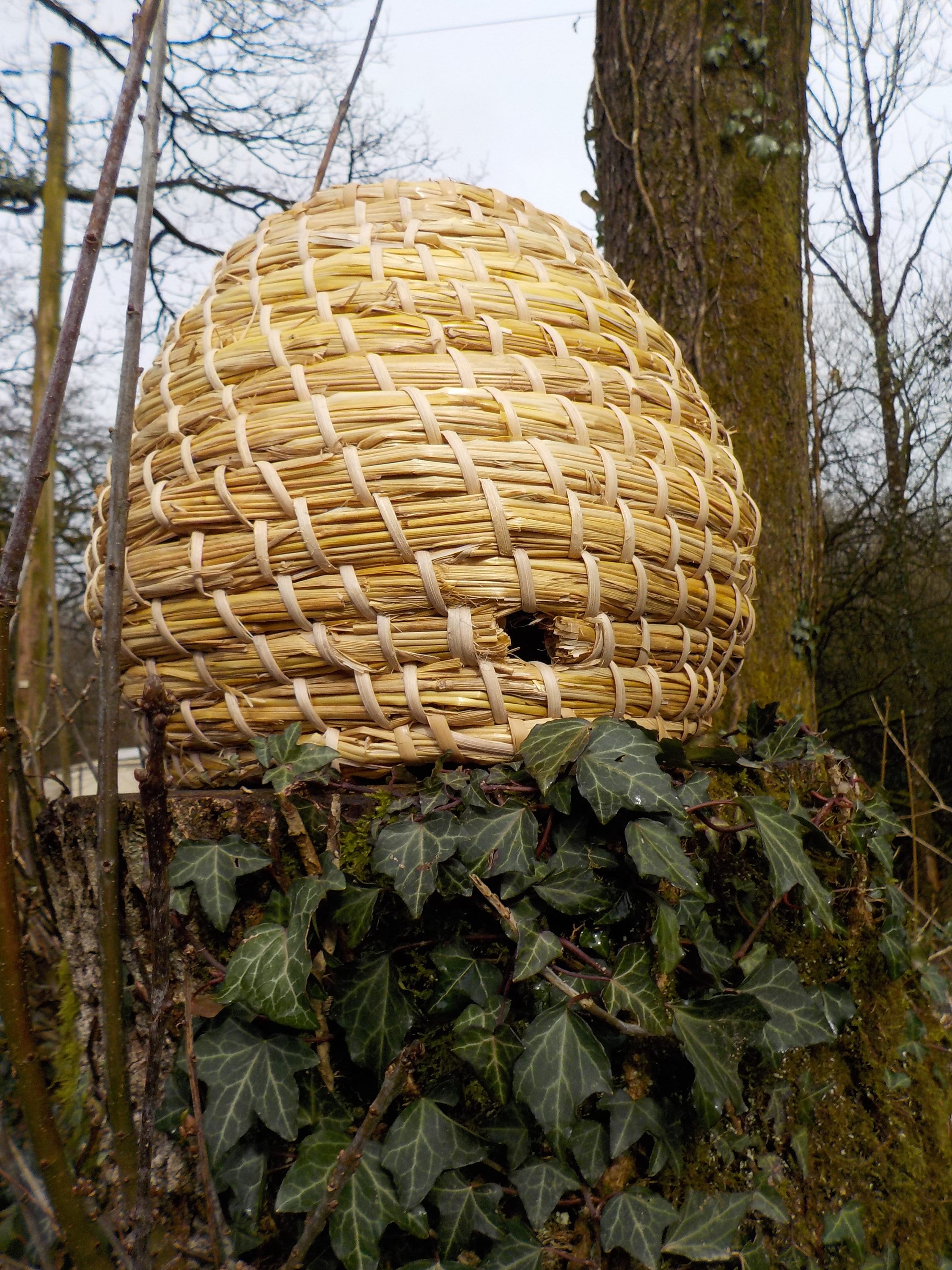Skep Beehive Traditional Medieval Style Materials Natural - Etsy UK