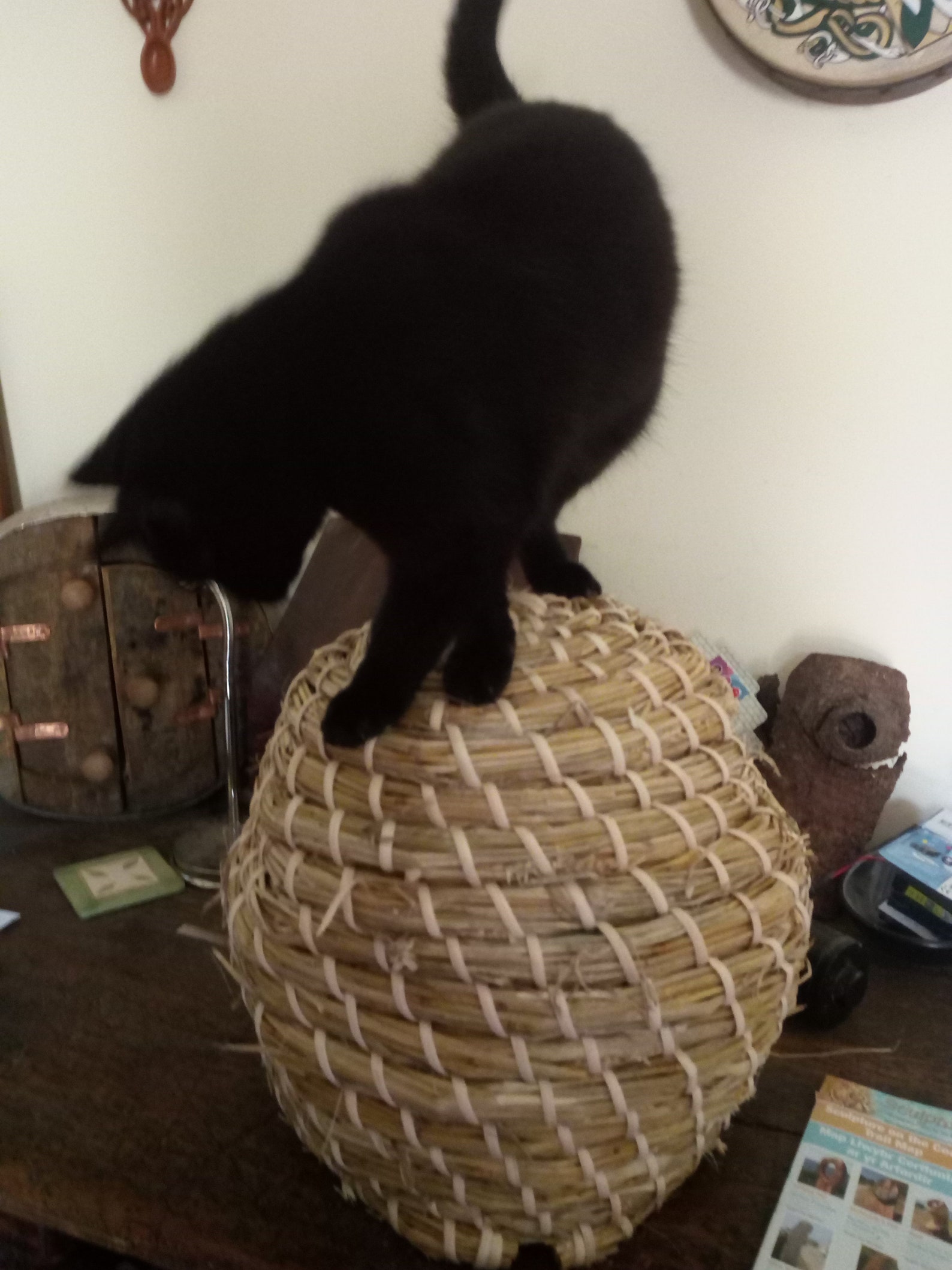 Traditional Bee Skep, Straw Beehives Swarm Collecting Skeps, Eco ...
