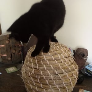Traditional Bee Skep, Straw Beehives Swarm Collecting Skeps, Eco ...