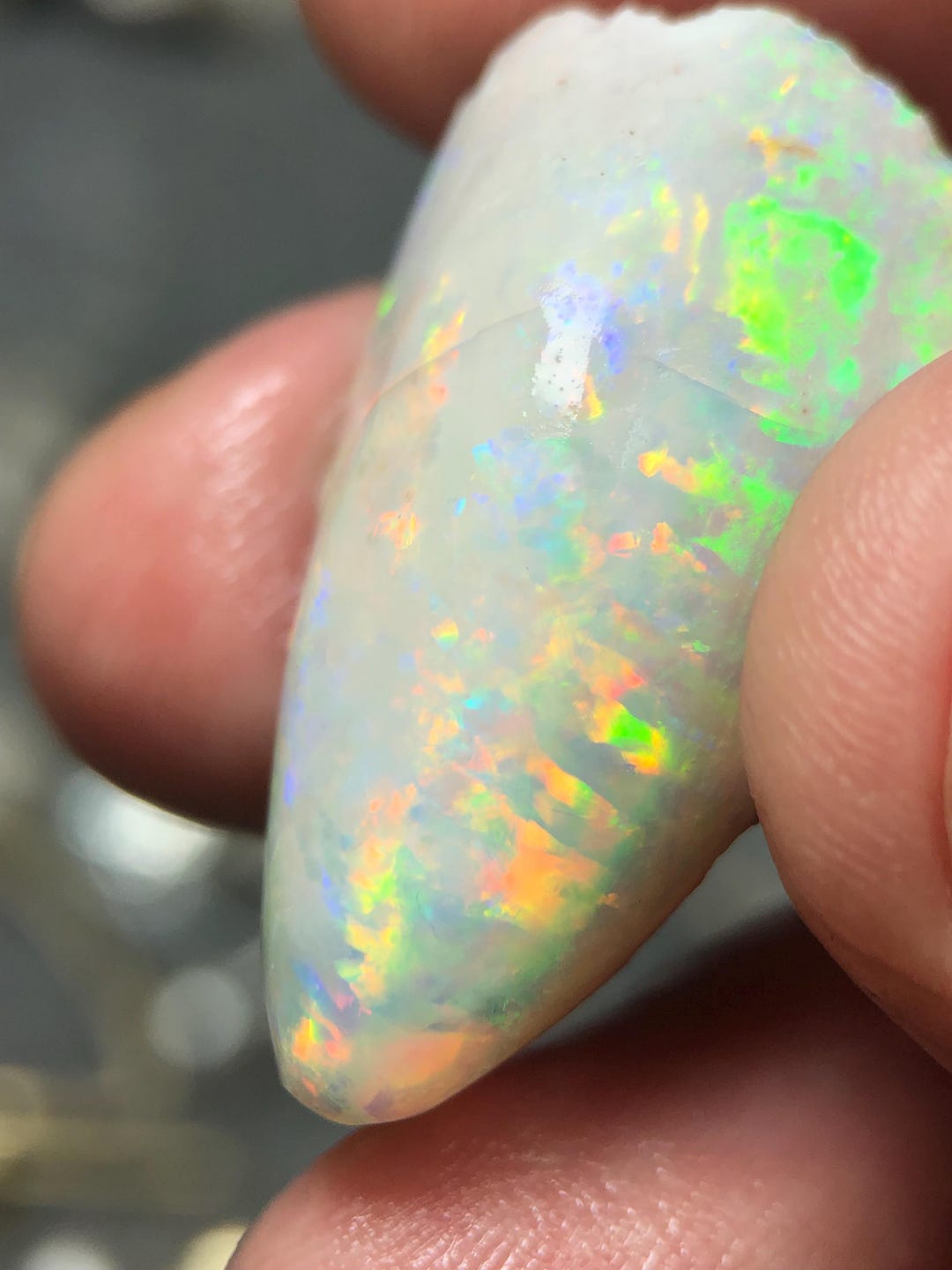 Coober Pedy Opal Shell Fossil - Etsy