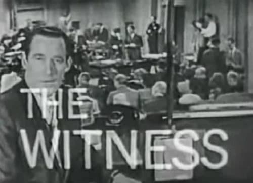 The Witness 1960-1961 TV Series10 Episodes, 3 Discs DVD-R - Etsy