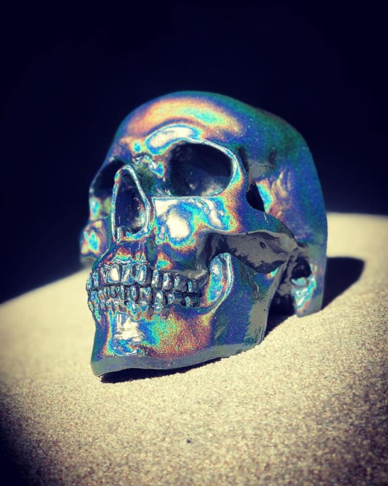 Spectraflair Skull // Skull Decor // Handmade by Haus of Skulls - Etsy