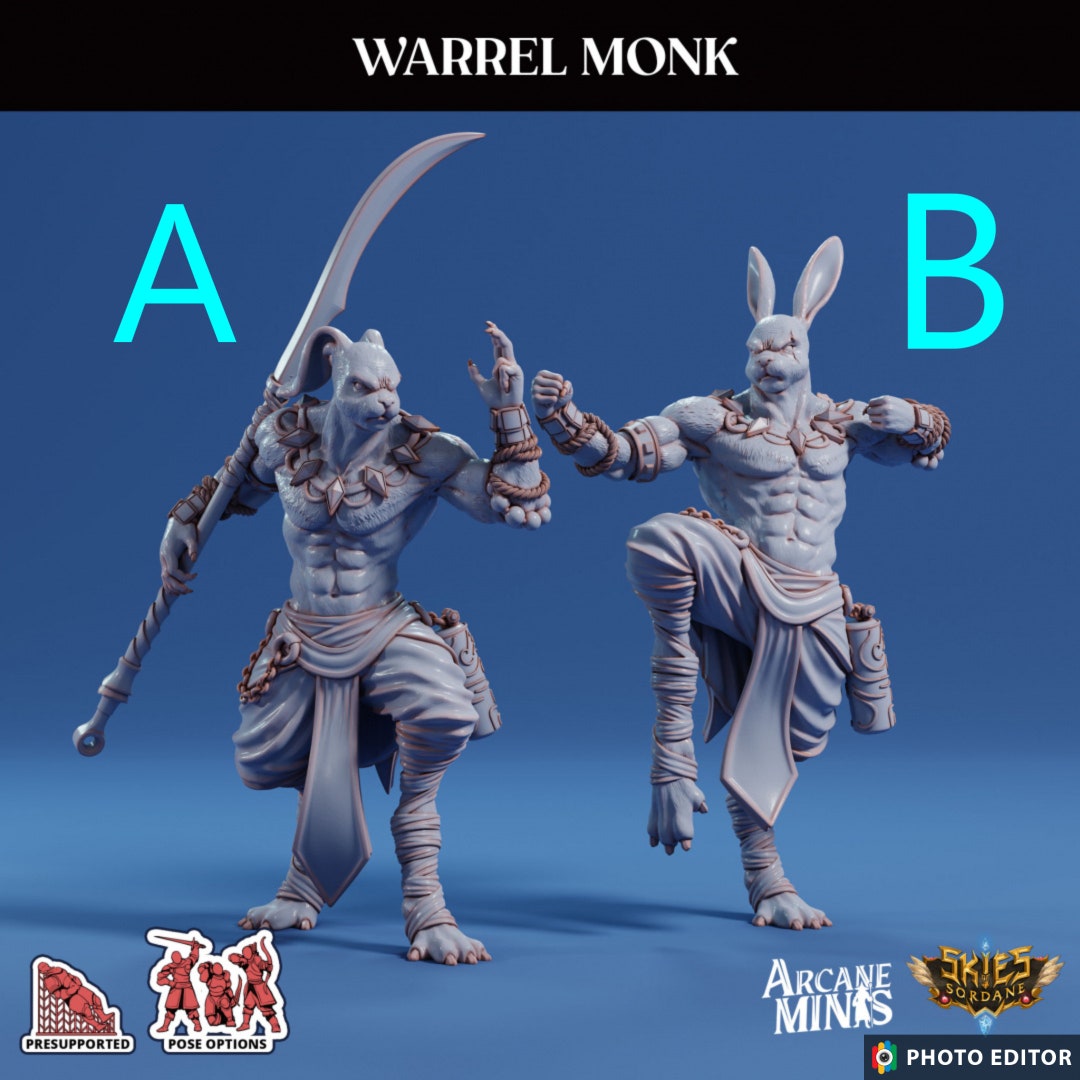 Warrel Monk Resin Miniature 32/28mm - for D&D Dungeons and Dragons ...