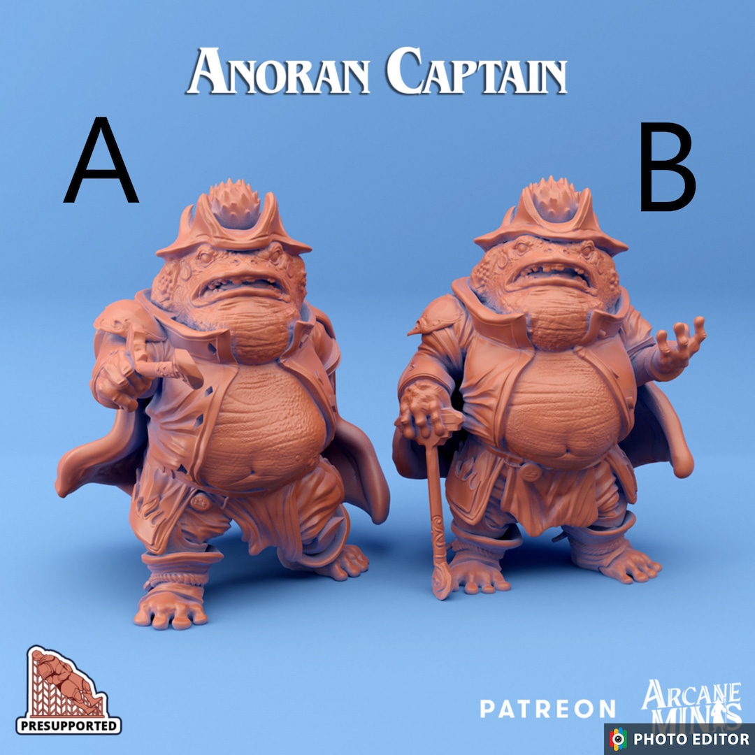 Anoran Captain Resin Miniature 32/28mm - for D&D Dungeons and Dragons ...
