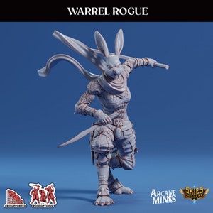 Warrel Rouge Resin Miniature 32/28mm for D&D Dungeons and Dragons ...