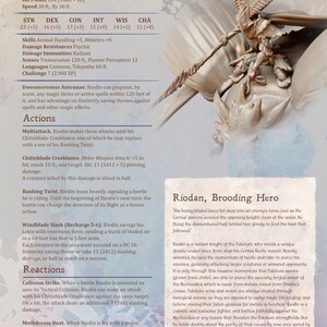 Riodin, Fidelium Knight and Cervus Beetle Mount, Cobramode Dungeons and ...