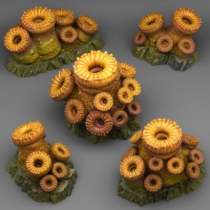 Cannon Coral Terrain Set of 5 Dungeons and Dragons, Pathfinder ...