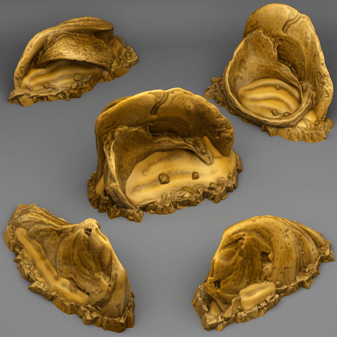 Sharp Desert Stones Plants and Rocks Terrain Set of 5 Dungeons and ...