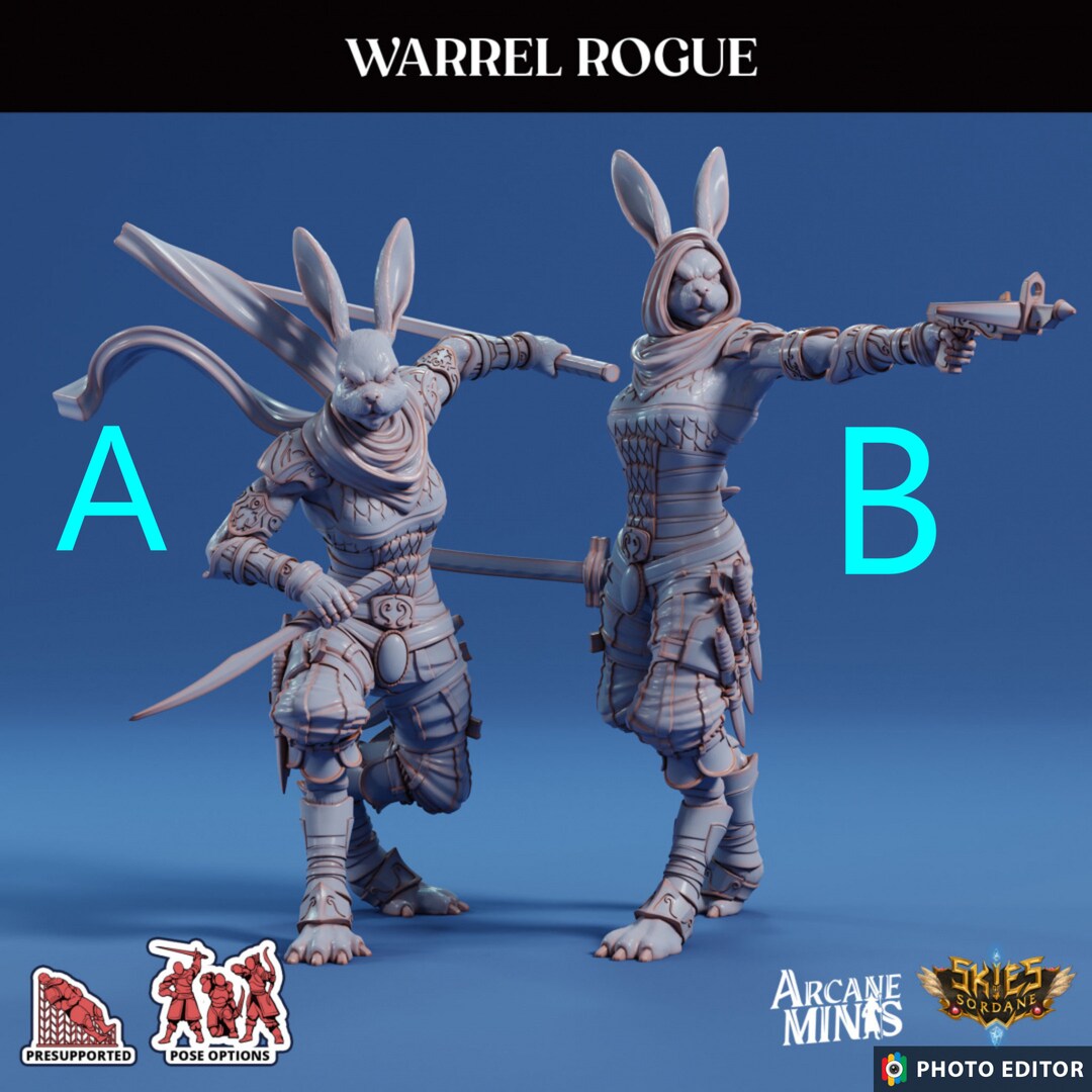 Warrel Rouge Resin Miniature 32/28mm for D&D Dungeons and Dragons ...
