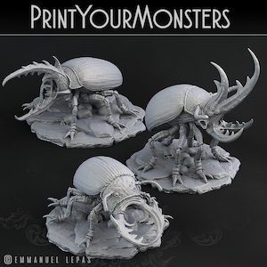 Giant Beetles| Giant Insects Set of 3 | Print Your Monsters (dnd ...