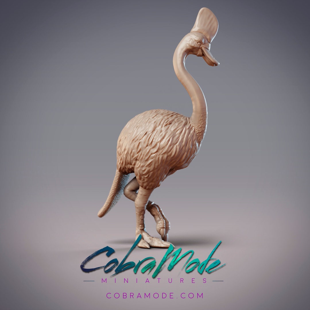 Platywary Flightless Bird Cassowaries Dungeons and Dragons/ RPG /resin ...