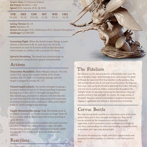 Riodin, Fidelium Knight and Cervus Beetle Mount, Cobramode Dungeons and ...