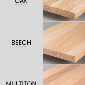 Large Decorative Lion Newel Post for Staircase Carved From Beech ...