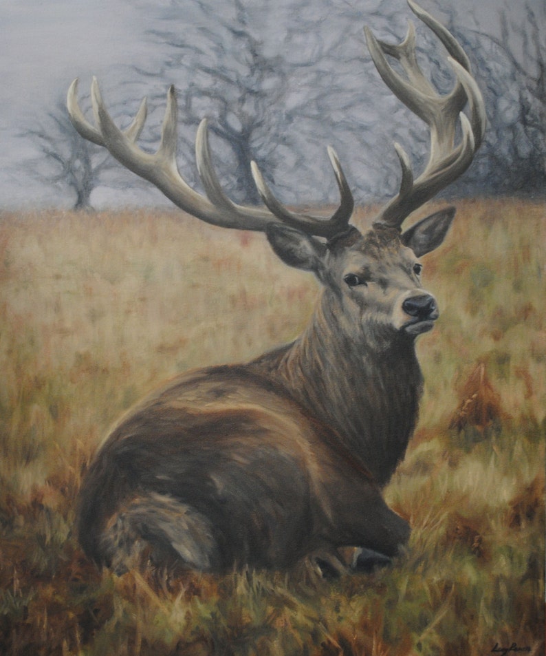 Exmoor Red Stag Lying Down - Etsy
