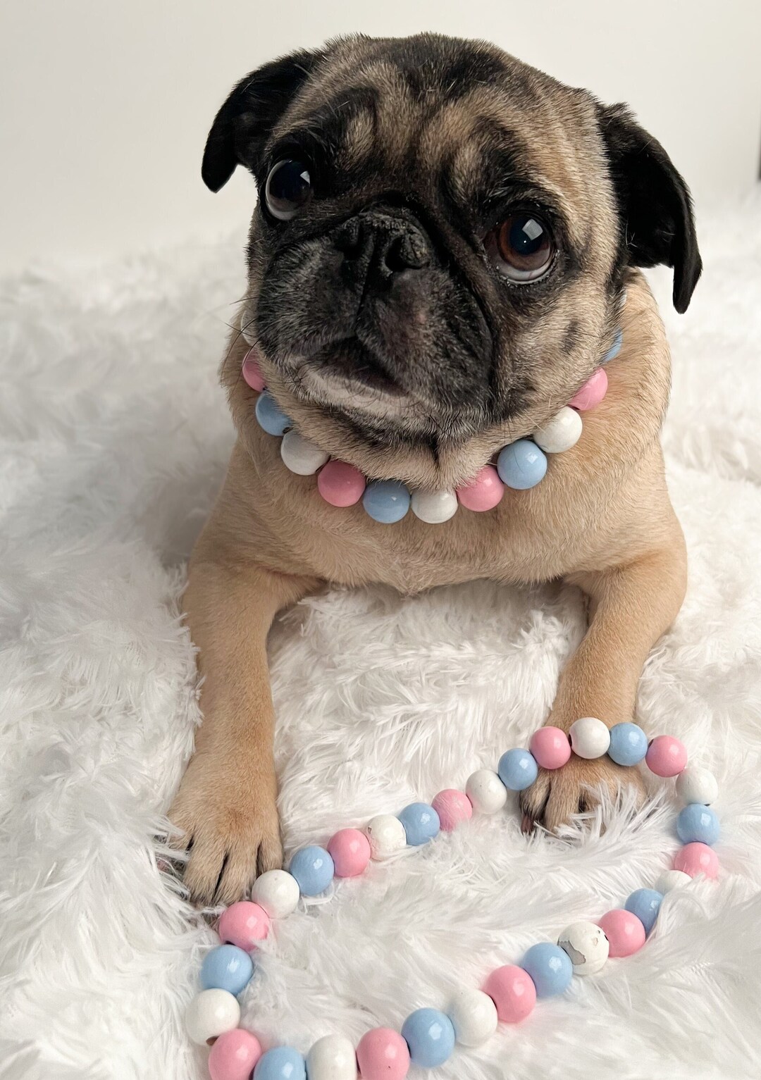 Buy Cotton Candy Canine Dog Necklace, Necklace for Dogs, Dog Necklace ...
