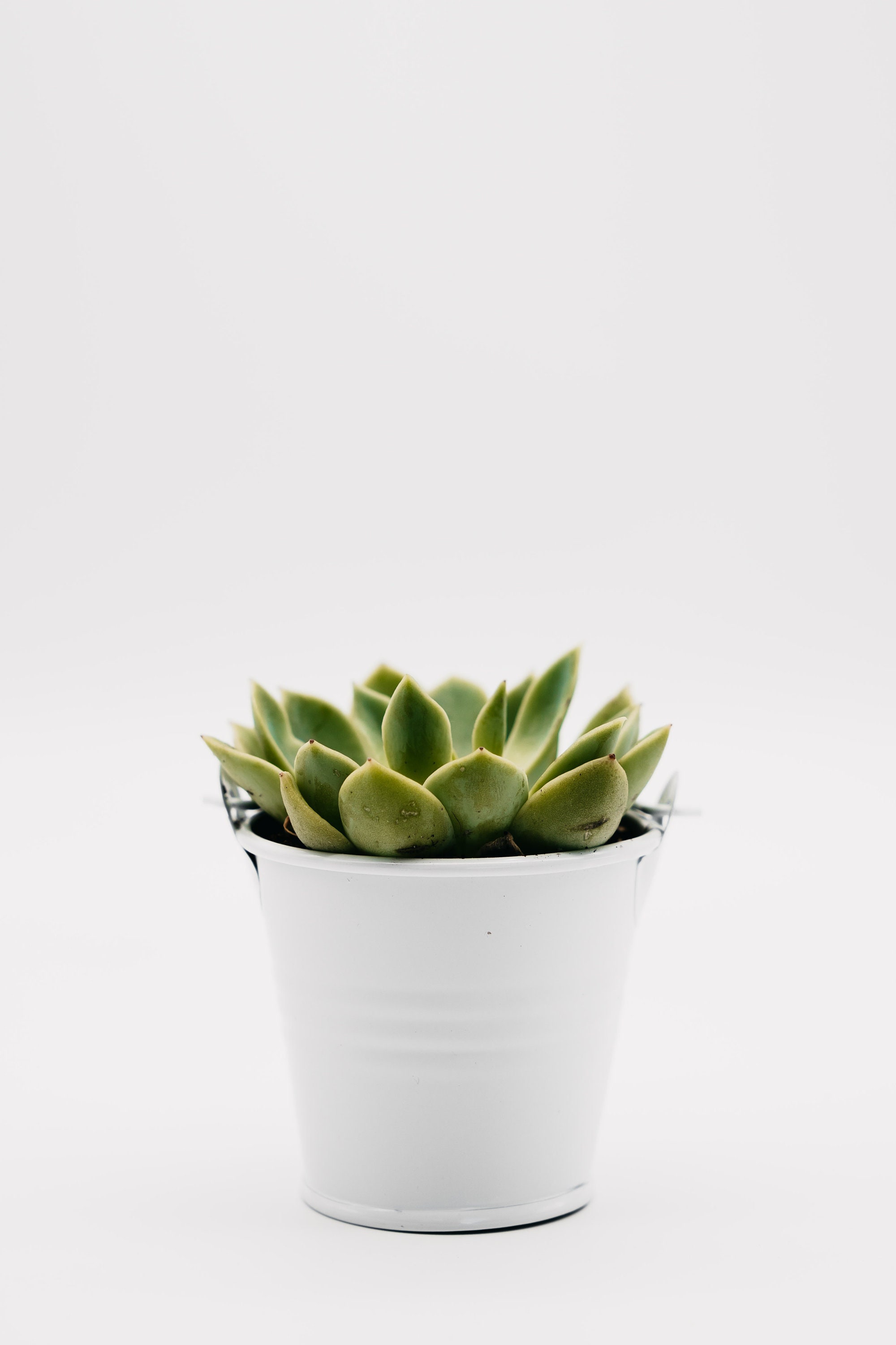 Real Estate Closing Gift Perfect House Closing Gift Box | Etsy