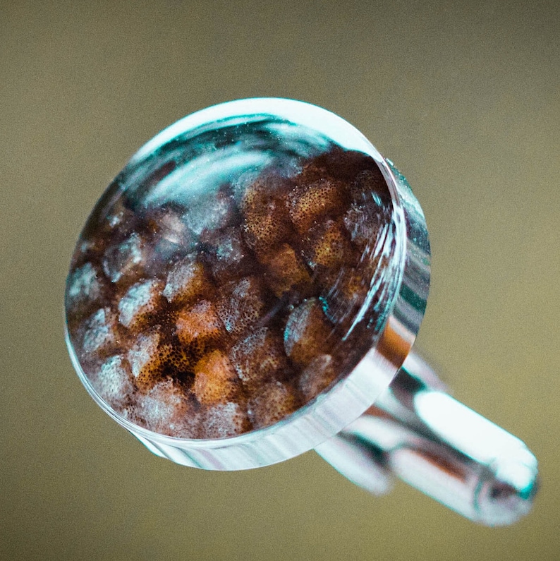 Genuine Fish Skin Leather Cuff Links for Men- Handmade by a ...