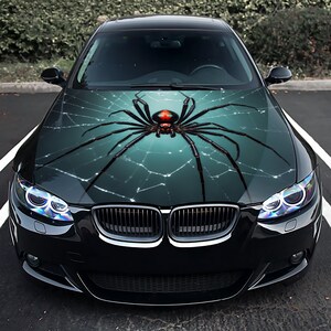 Redback Spider Car Hood Wrap, Car Hood Decal, Truck Hood Wrap, Car Hood ...