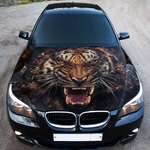 Angry Tiger Growling Car Hood Wrap, Car Hood Decal, Car Hood Sticker ...