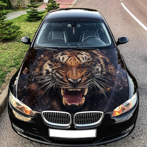 Tiger Angry Decal - Etsy